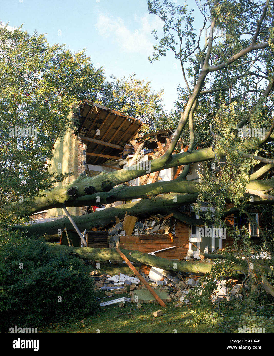 Storm damage after Hurricane hit the uk October 1987 England UK A ...