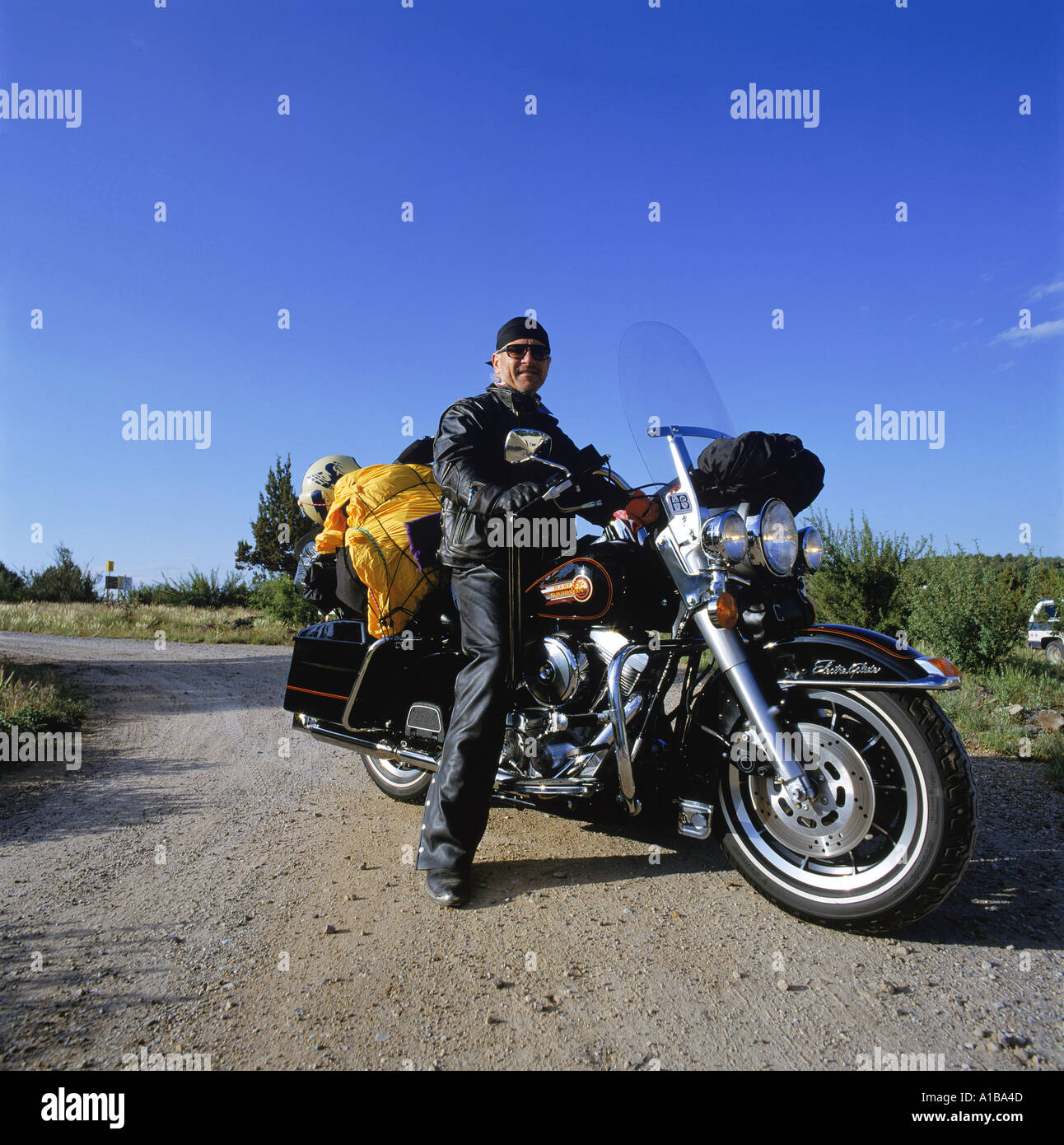 Harley low angle hi-res stock photography and images - Alamy