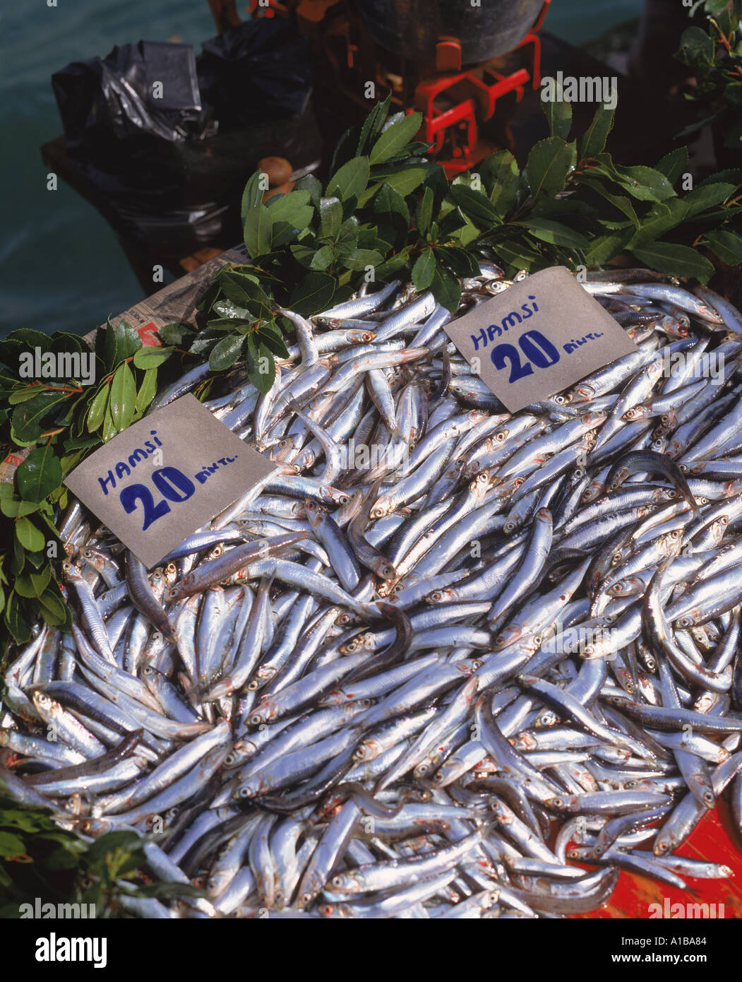 Fish markets in istanbul hi-res stock photography and images - Alamy