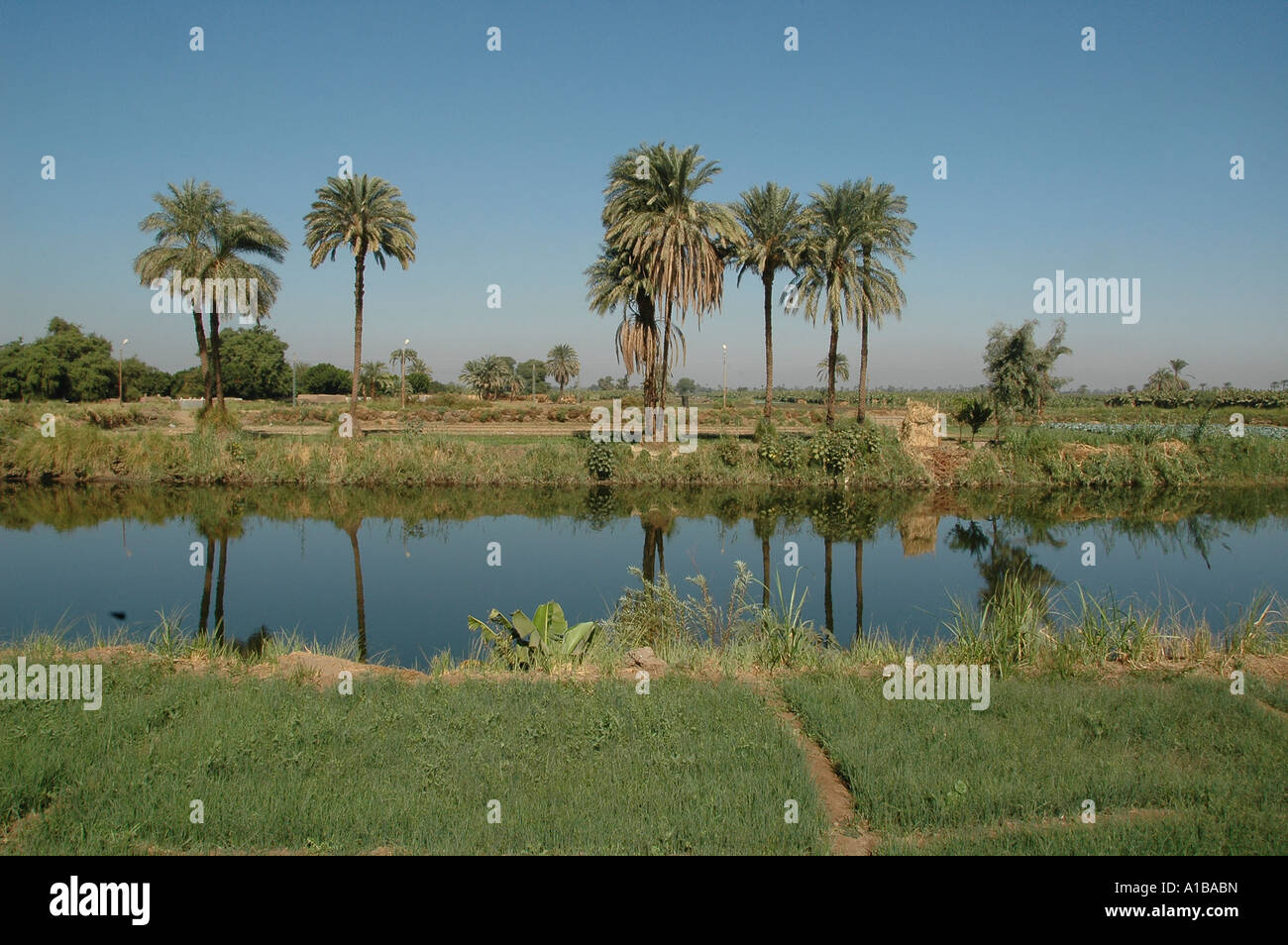 Nile River Egypt Plantation High Resolution Stock Photography and ...