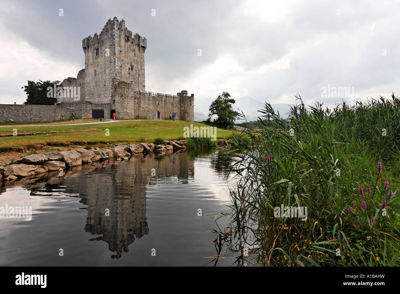 Ross castle at the Lough Lane, Killarney National Park, Killarney ...