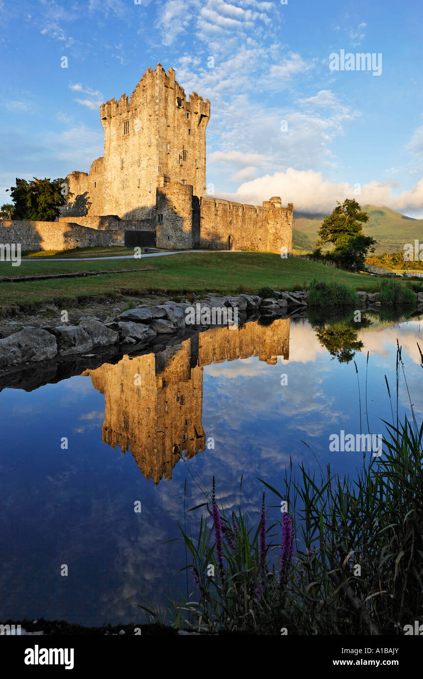 Ross castle at the Lough Lane, Killarney National Park, Killarney ...