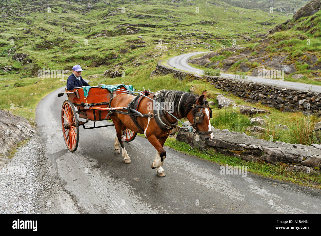 Horse carriage on the road to the Gap of Dunloe, Killarney National ...
