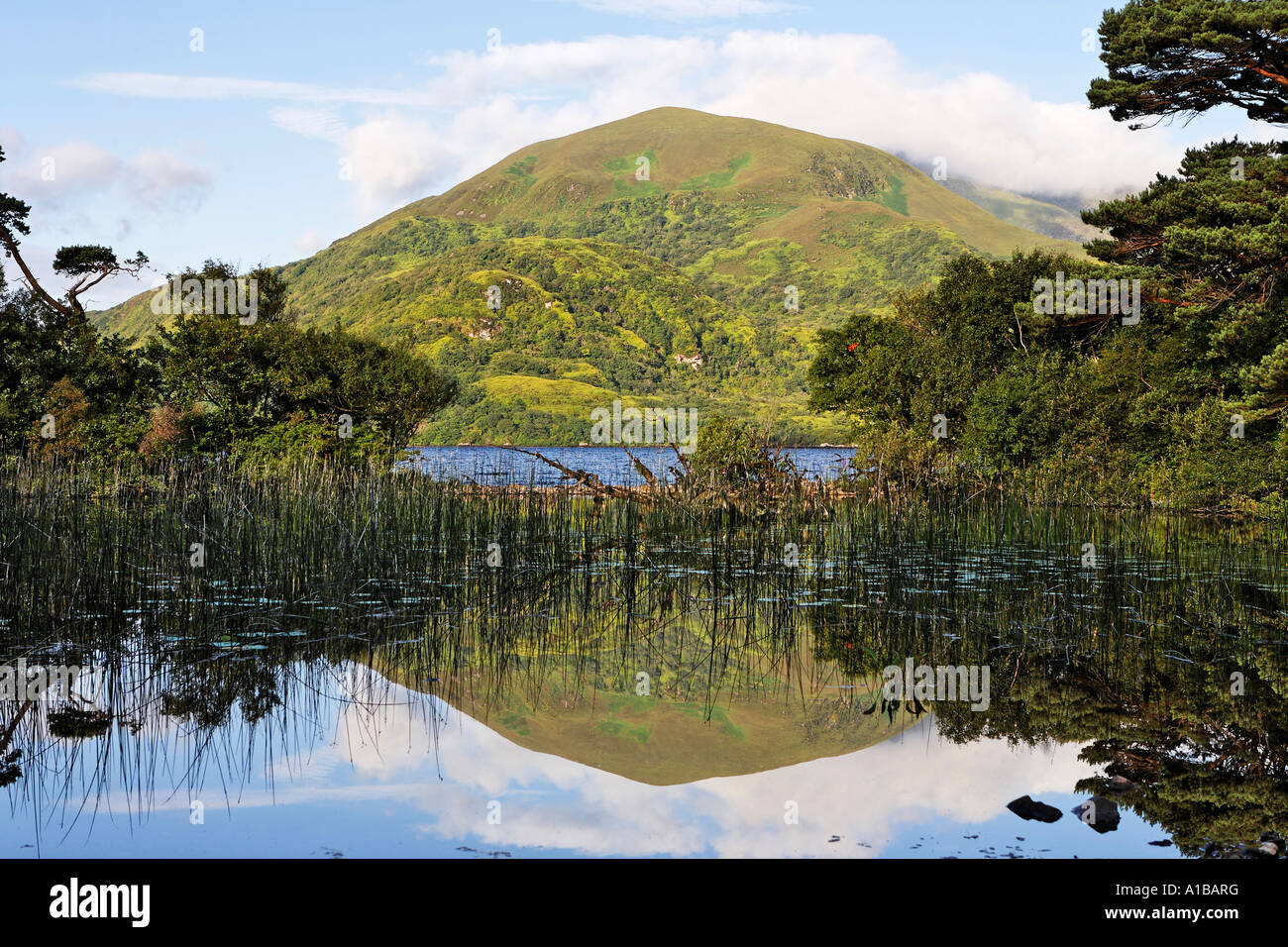 The mountain Shehy mirrors in the Loch Lein, Killarney National Park ...
