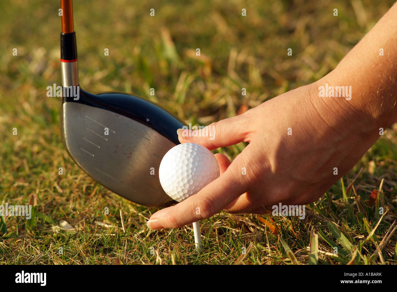 Left hand golf hi-res stock photography and images - Alamy