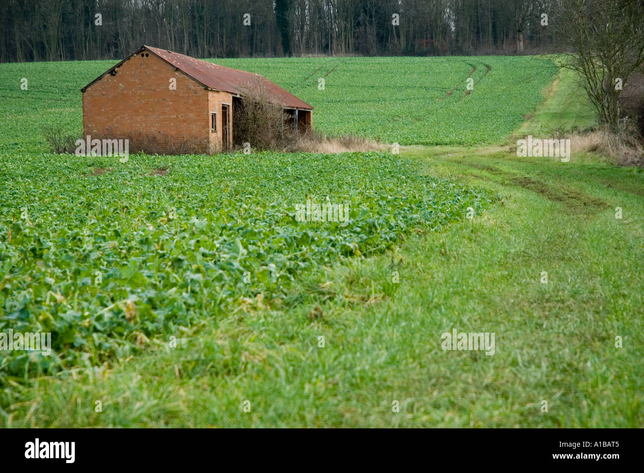 OLD COUNTRYSIDE STABLES Stock Photo - Alamy