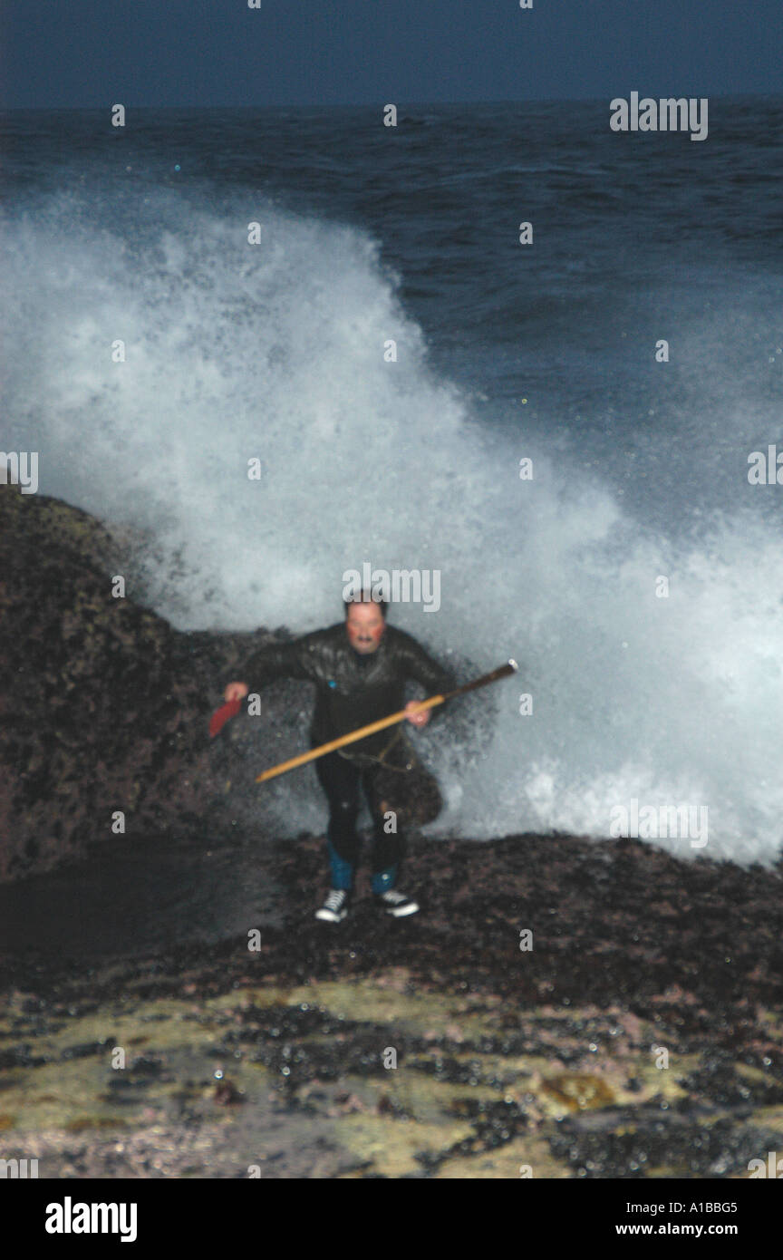 Popular spanish barnacle hunters called Percebeiros Stock Photo - Alamy