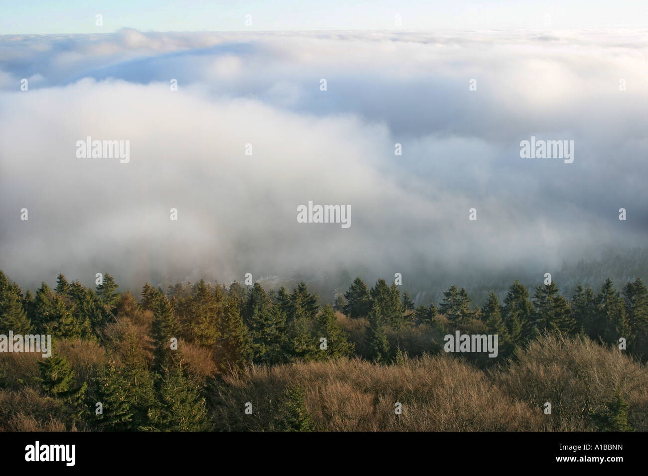 Waether and seasons hi-res stock photography and images - Alamy