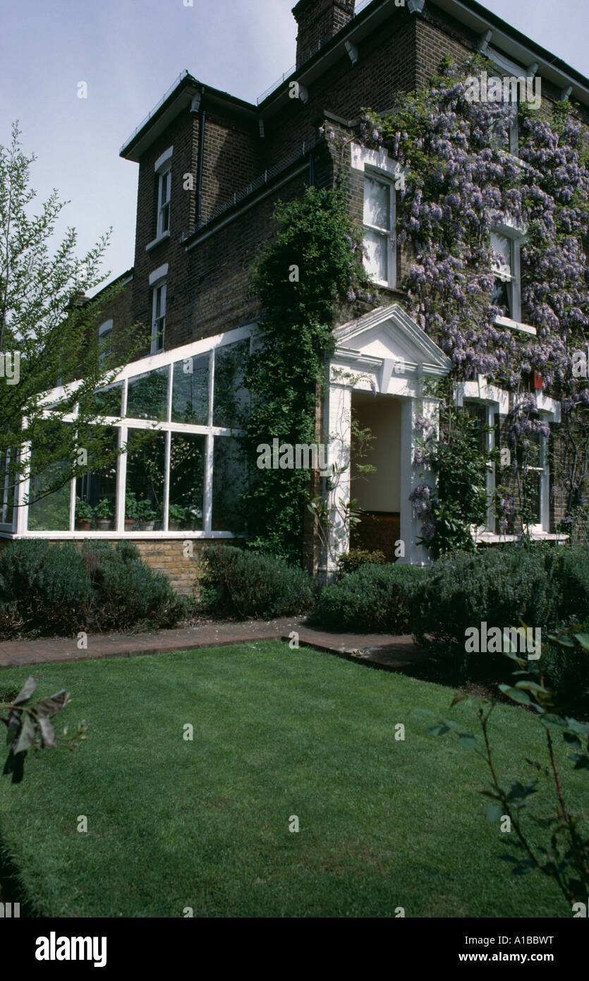 Wisteria-covered London townhouse, with lawn Stock Photo - Alamy