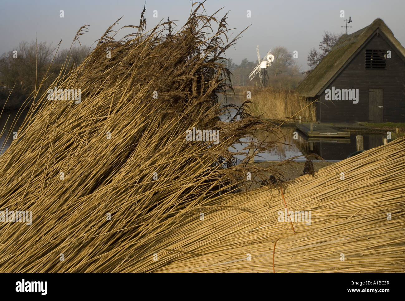 Reeds River Ant How Hill Norfolk UK Stock Photo - Alamy