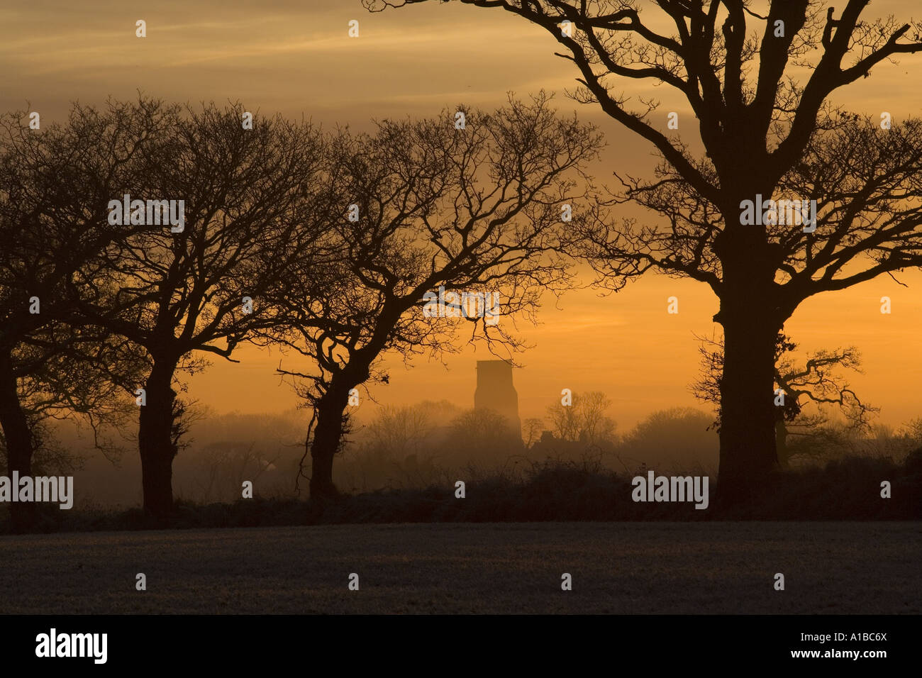 Trunch High Resolution Stock Photography and Images - Alamy