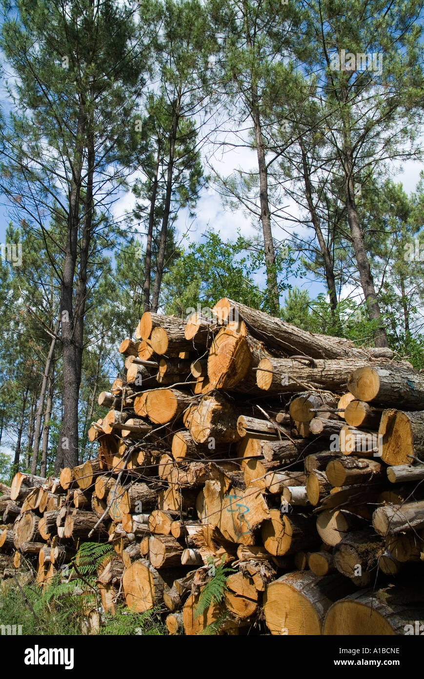 Mano industrial hi-res stock photography and images - Alamy