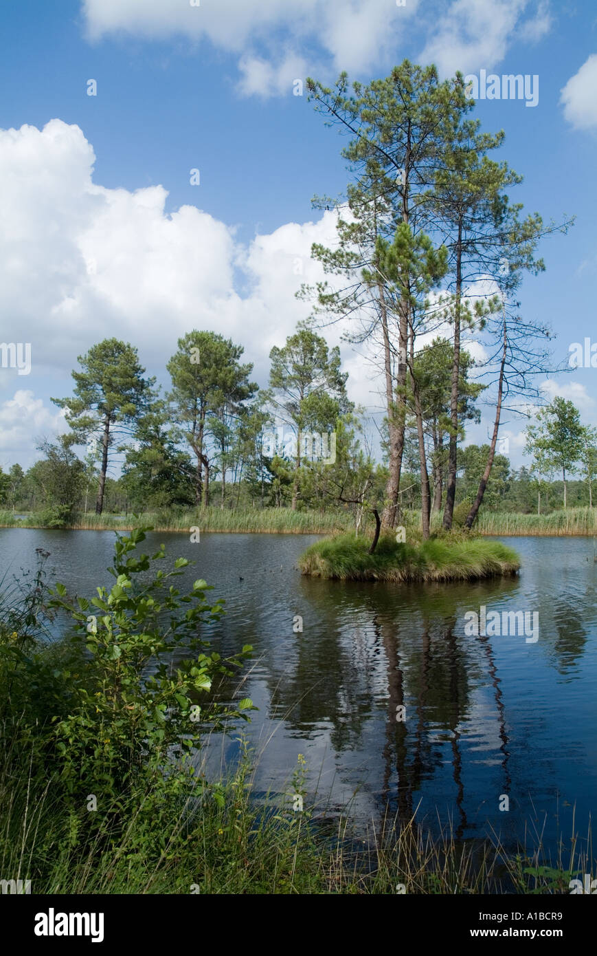 Hostens hi-res stock photography and images - Alamy