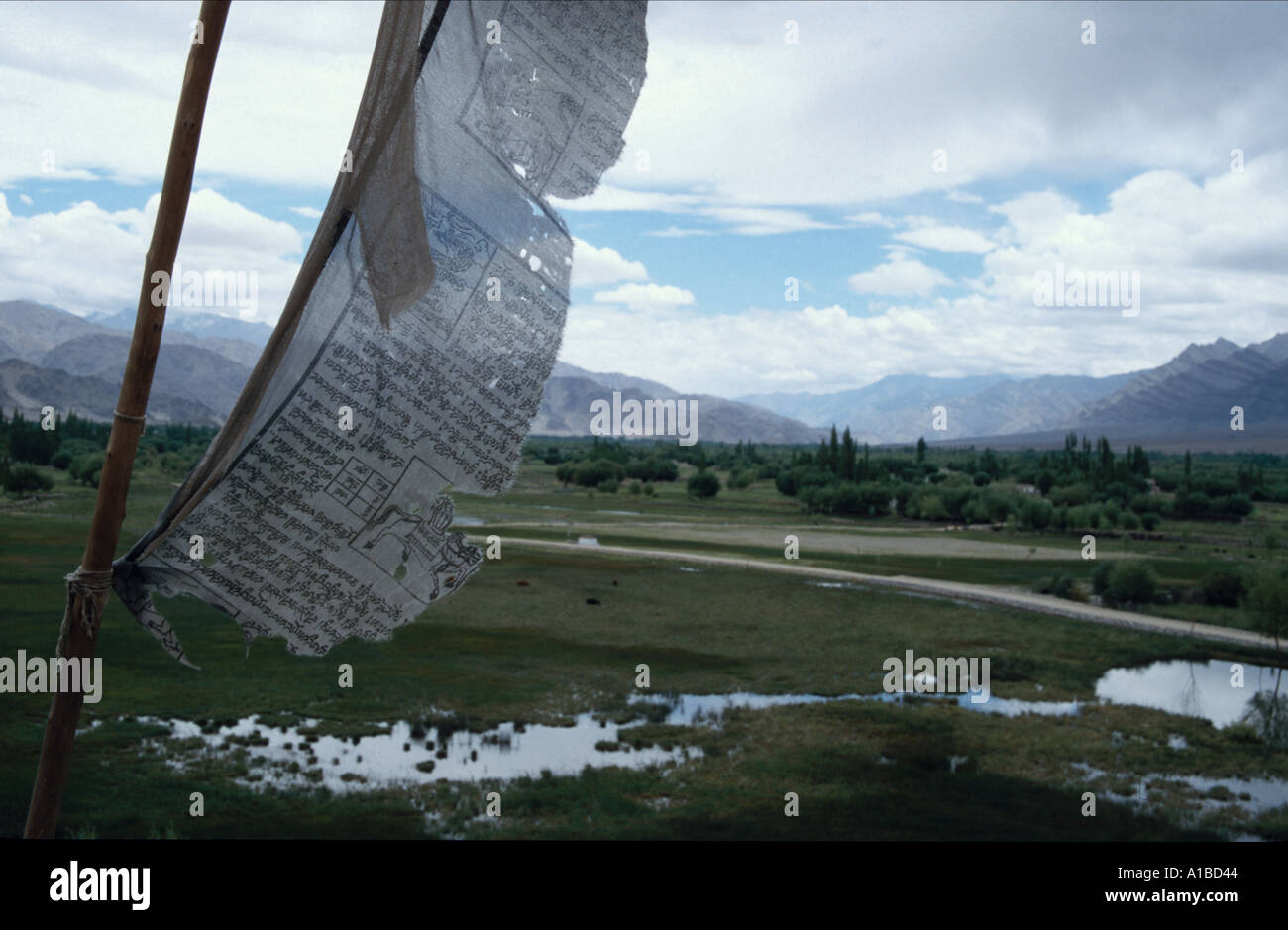 Prayer banners in Ladakh Stock Photo - Alamy