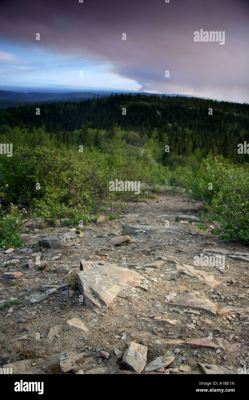 Forest fire smoke rises in the distance in this wide-angle vertical ...