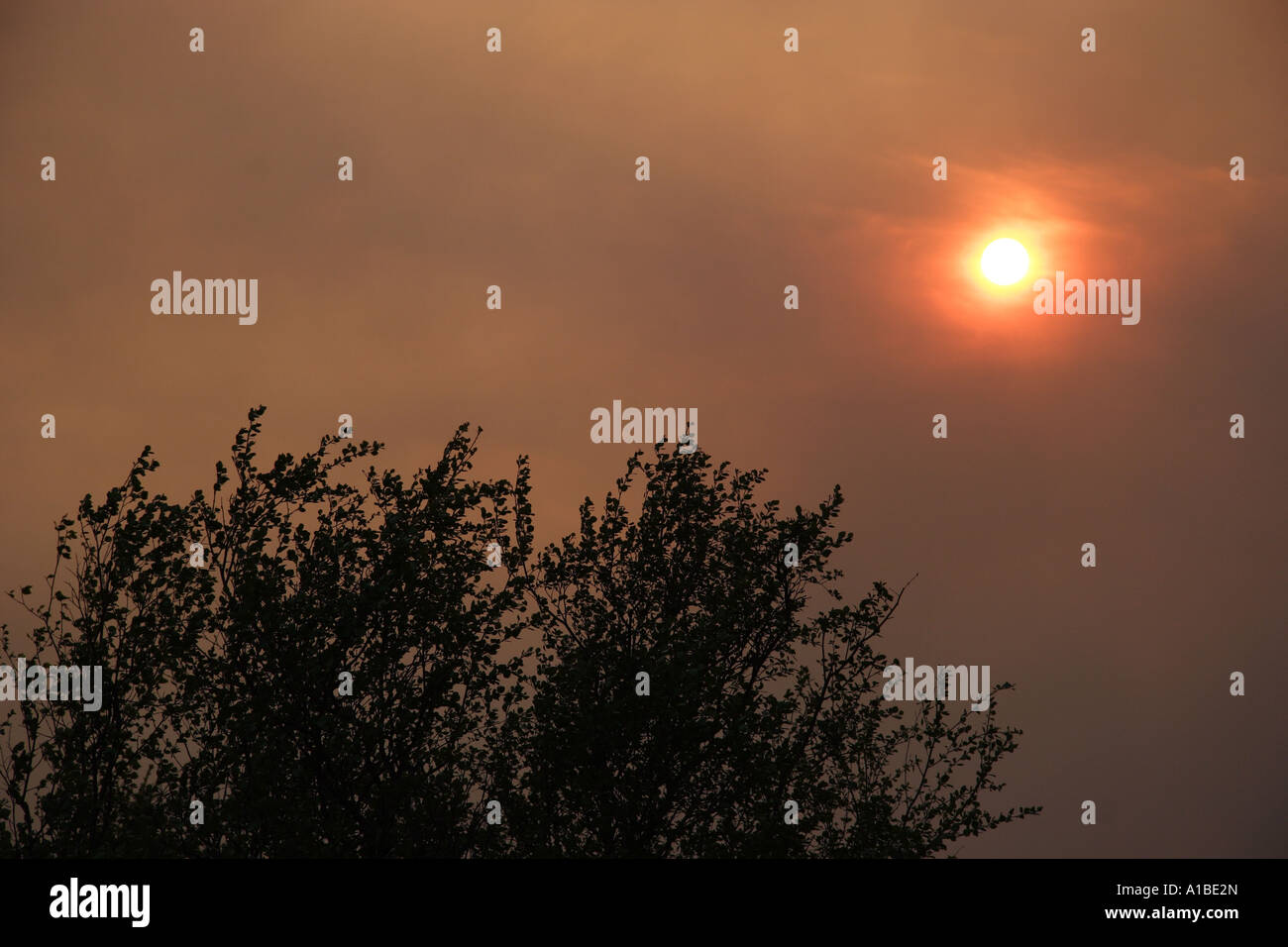 Smoke filled sky and sun hi-res stock photography and images - Alamy