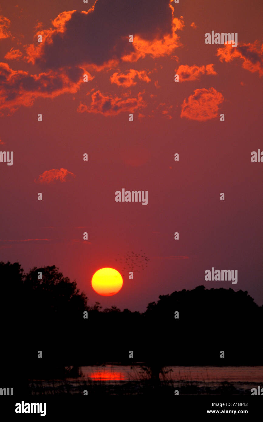 Flying Past the Sun Zambesi River Livingstone Zambia Stock Photo - Alamy