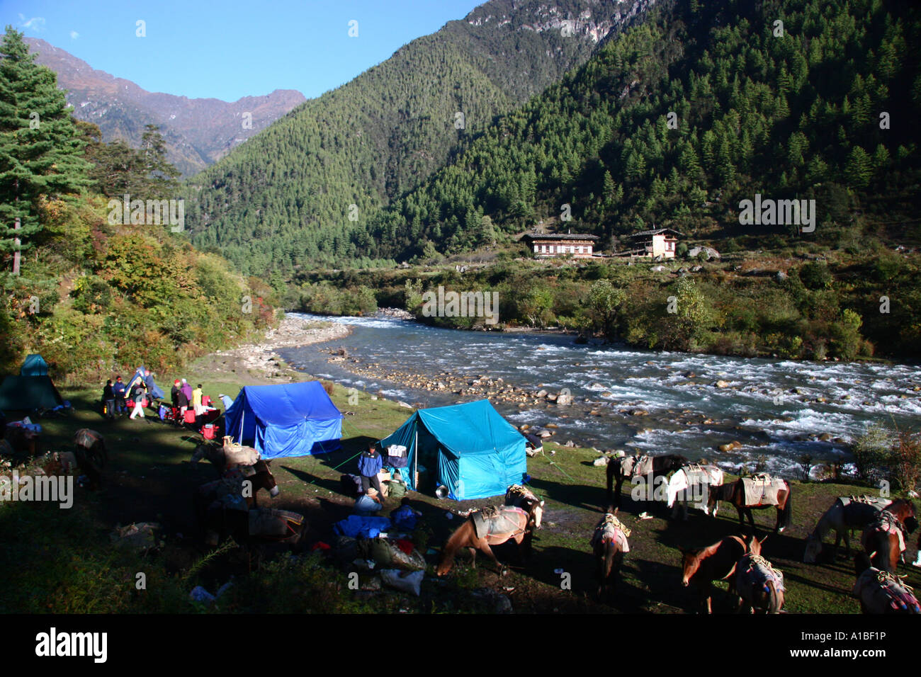 A trekking camp along the Paro Chuu River, Bhutan Stock Photo - Alamy