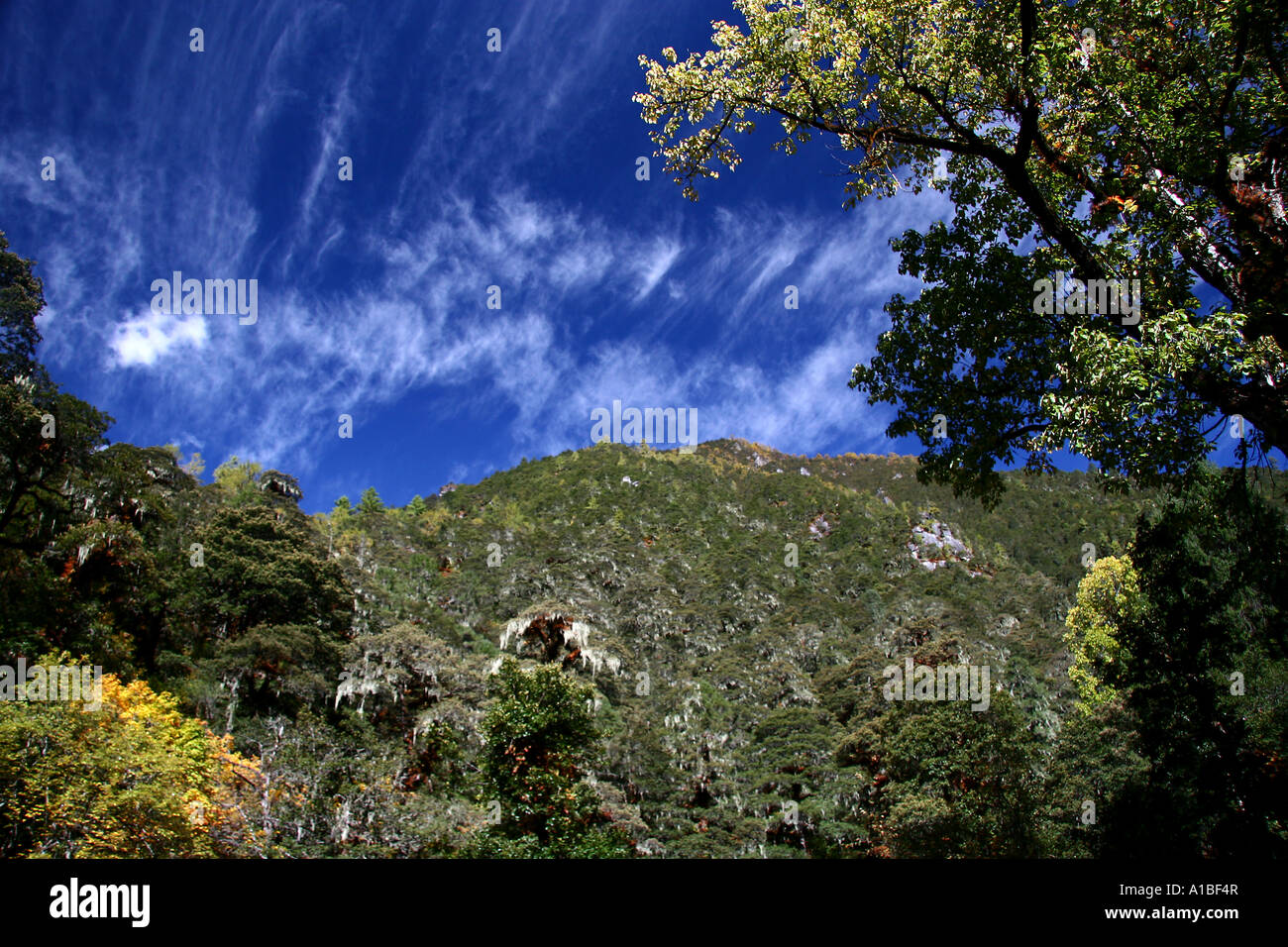 High clouds add texture to the blue alpine sky in the Himalayas of ...