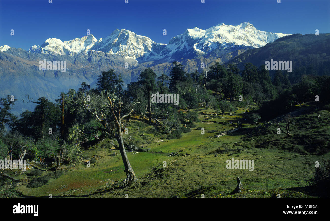 Himalaya foothills hi-res stock photography and images - Alamy