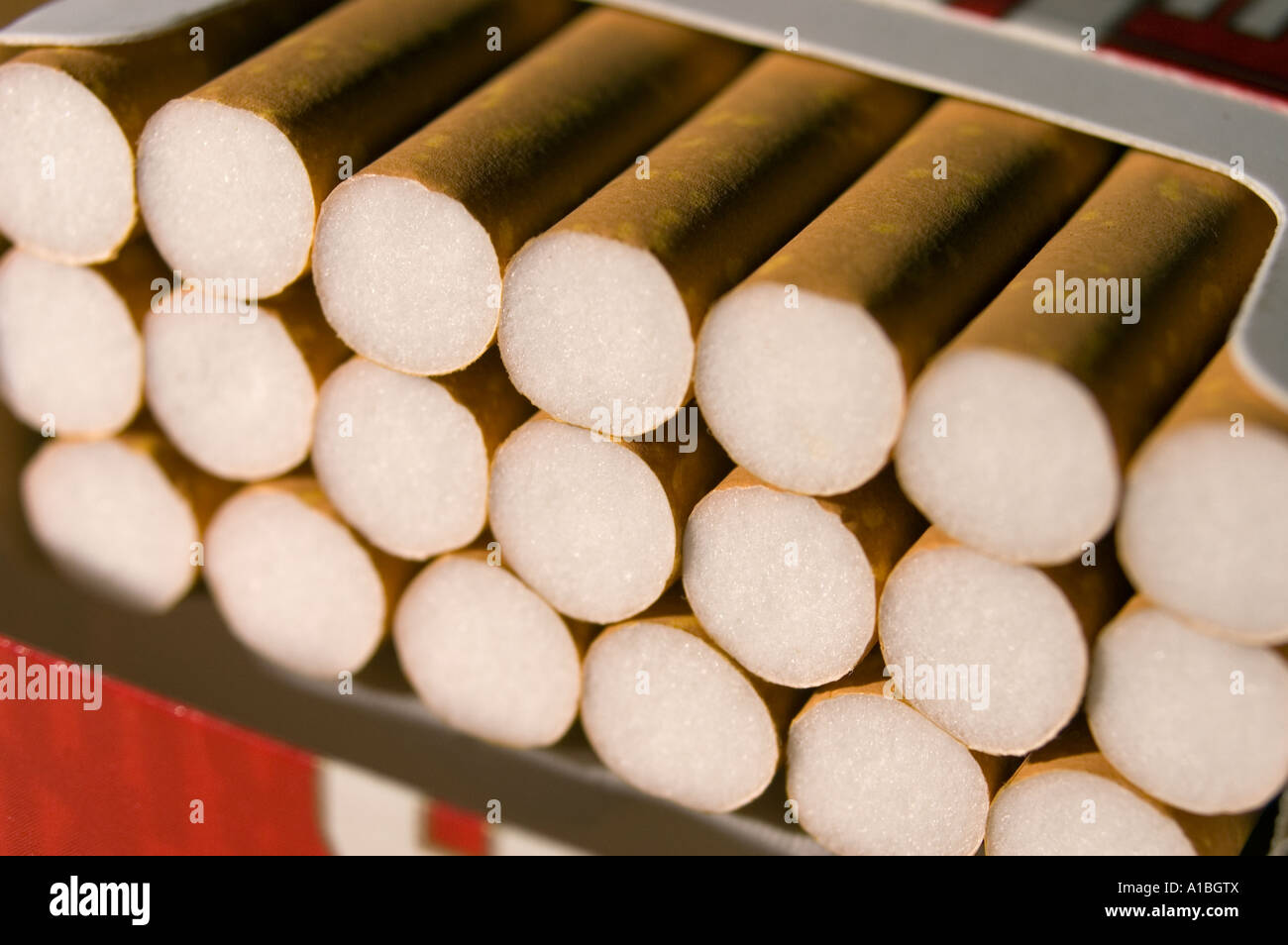 Cigarette Filter Texture