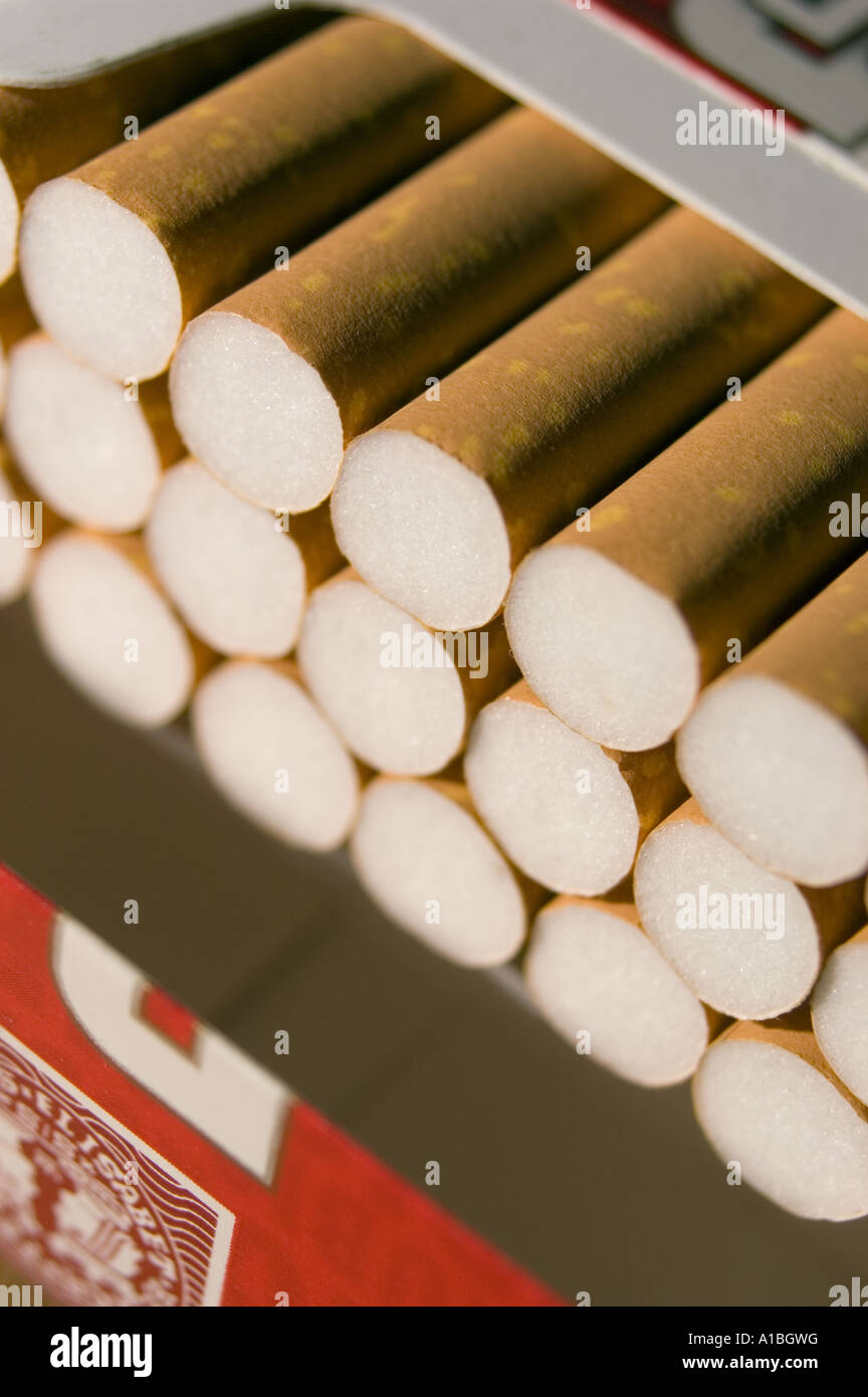 Cigarette tips in an open pack showing the foam texture of the filters ...