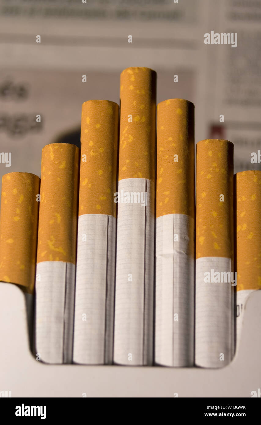 Cigarette tips in an open pack showing the foam texture of the filters ...