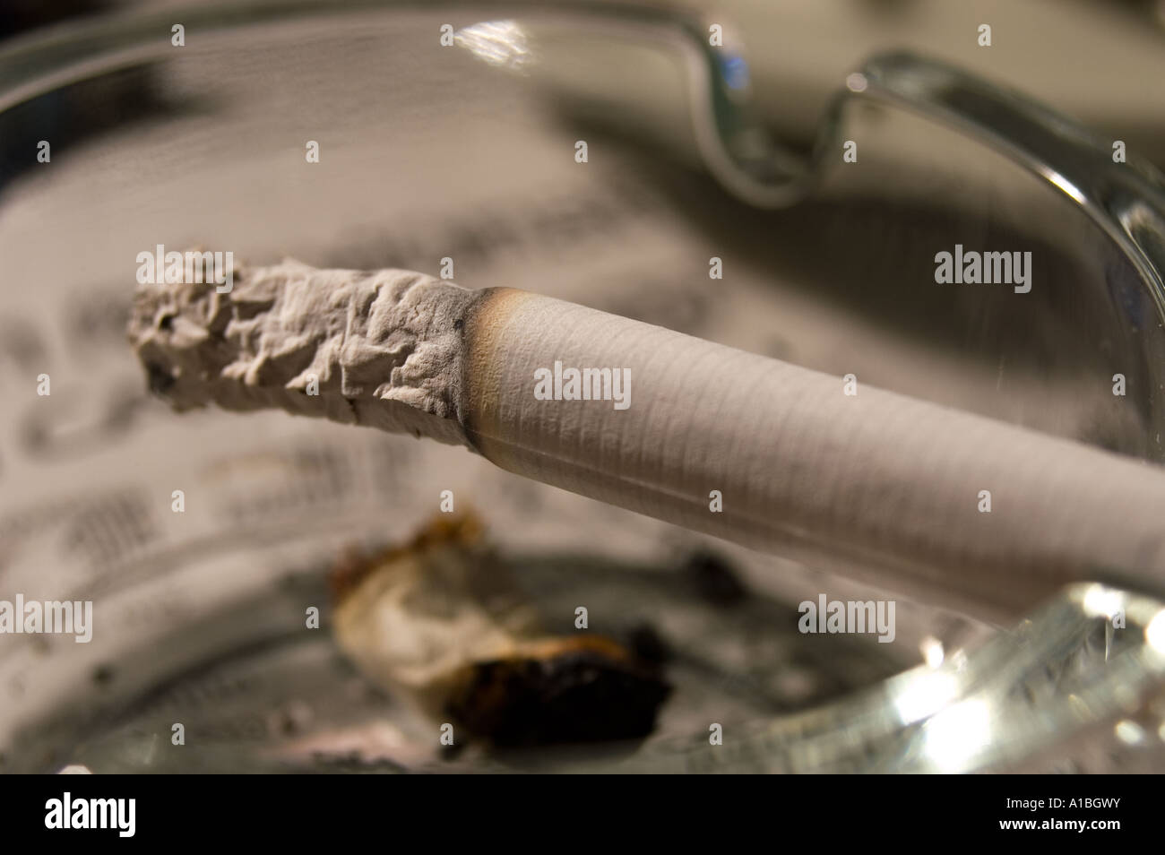 still life about tobacco extinguishing cigarrettes Stock Photo - Alamy