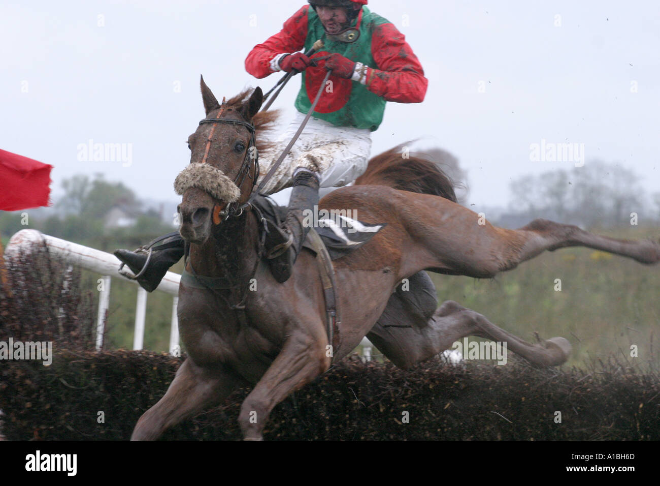 Horse and rider jumping hedge hi-res stock photography and images - Alamy