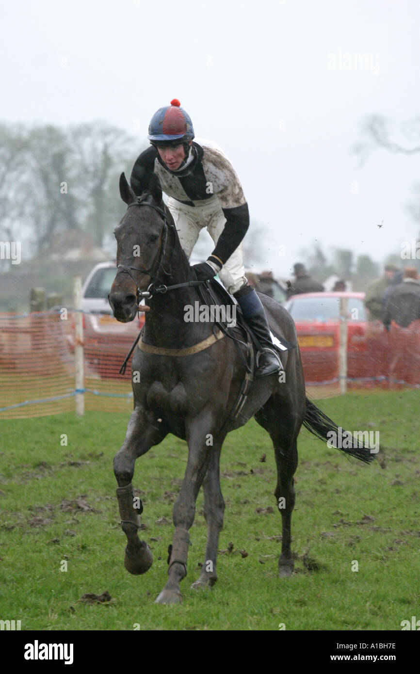Mud splattered jockey and horse reach the finish line at Maralin Point ...