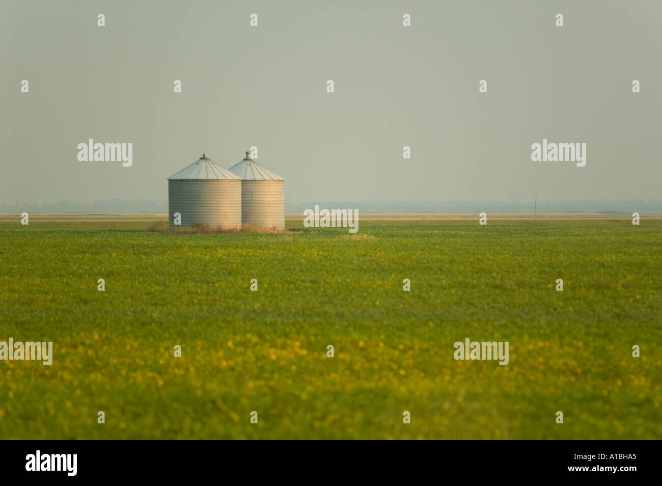 Two grain storage bins sit in field in rural Minnesota Stock Photo - Alamy