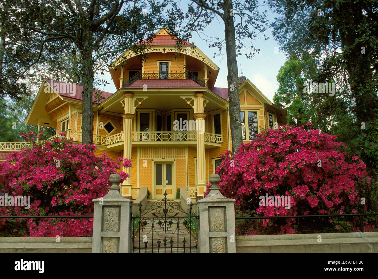 Spring azaleas blooming around unique historic Southern mansion, USA ...