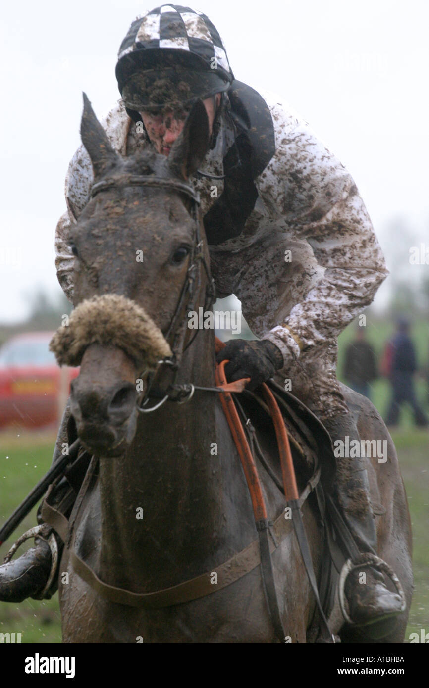 Mud splattered jockey and horse reach the finish line at Maralin Point ...
