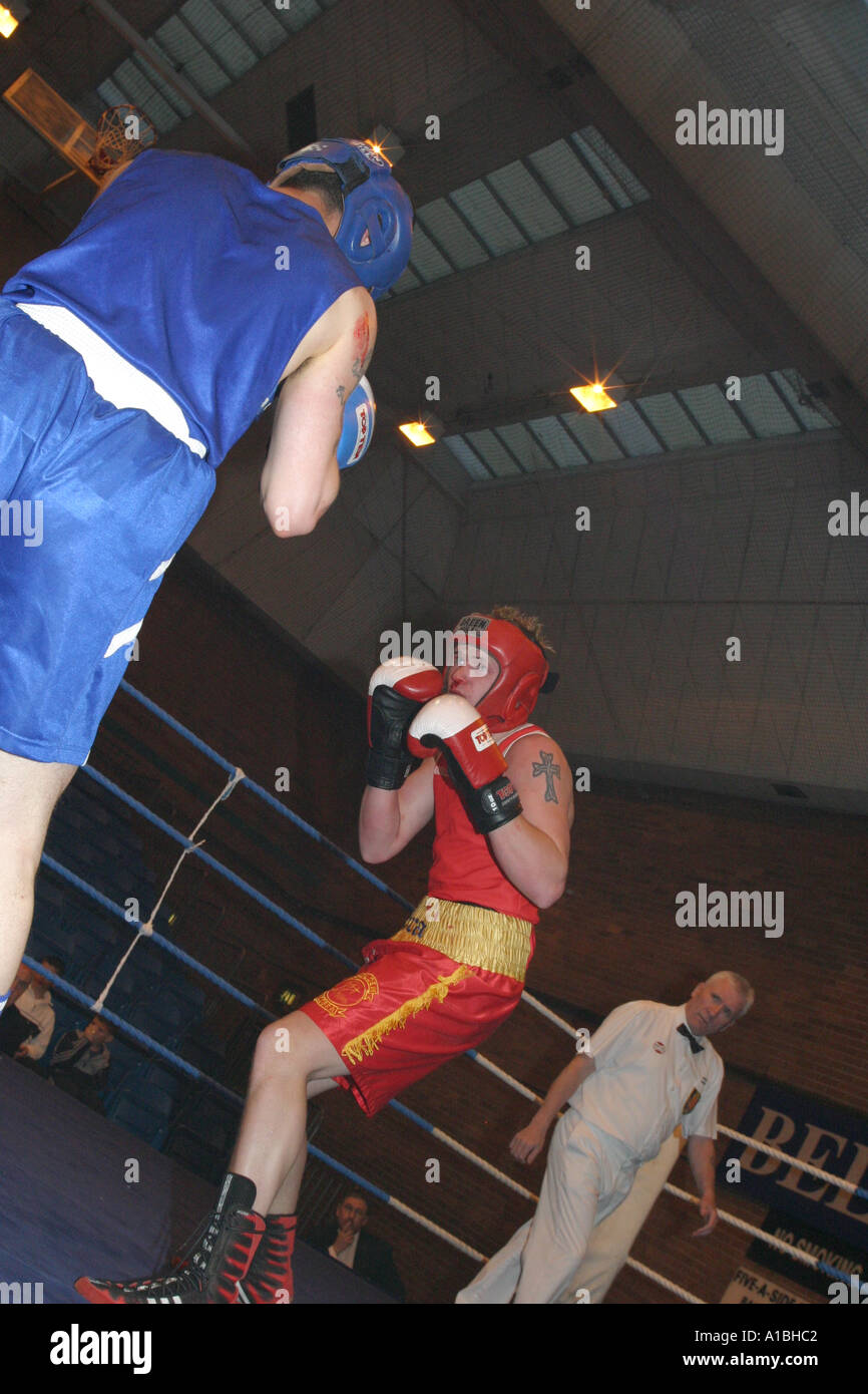 Irish amateur boxing association hi-res stock photography and images ...