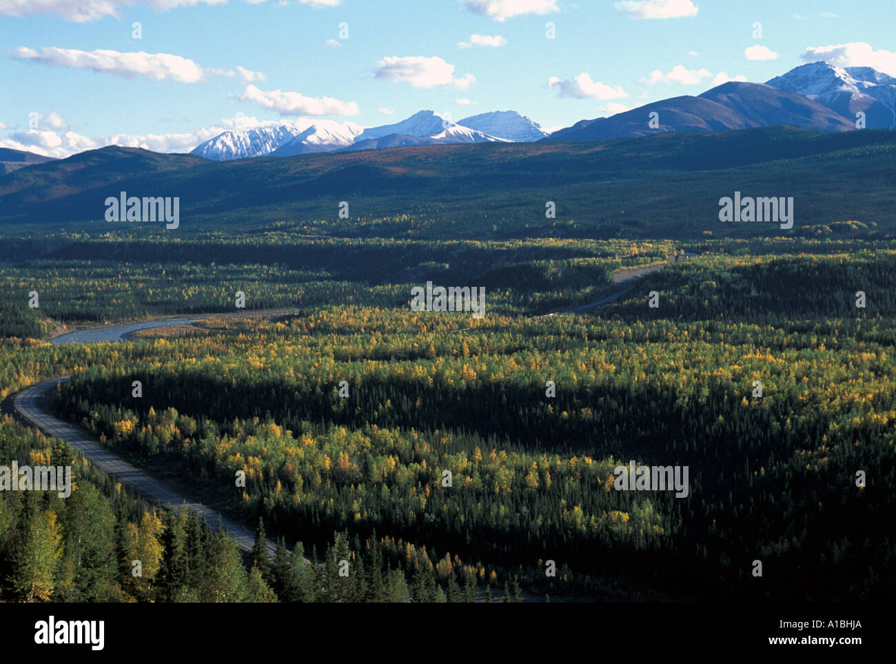 Alaska wilderness forest fall color Stock Photo - Alamy