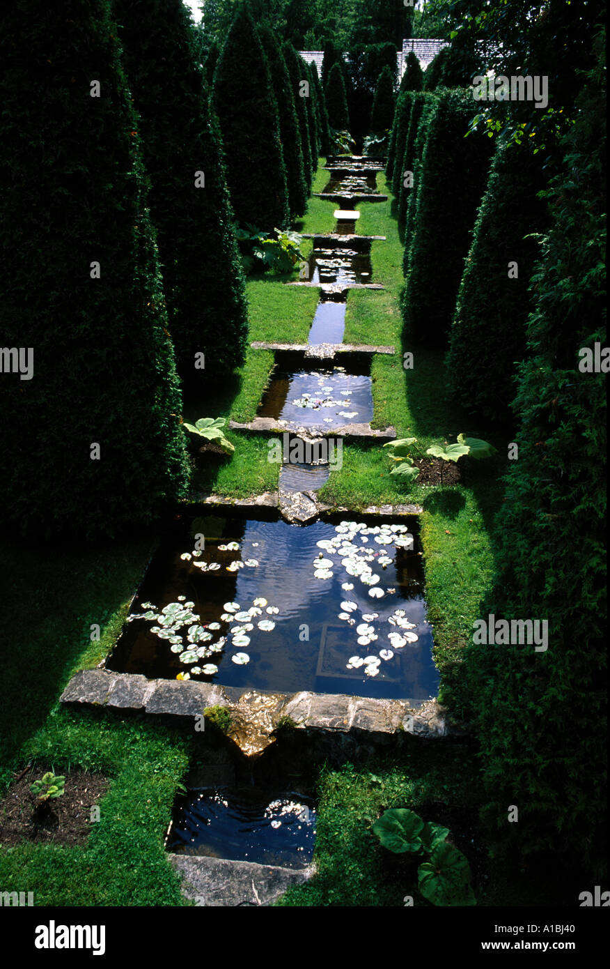 Cascading stream and pools shaped conifers Stock Photo - Alamy