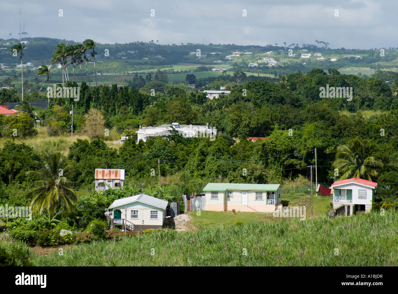 Barbados countryside hi-res stock photography and images - Alamy