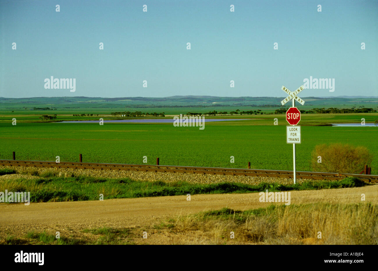 country railroad crossing Stock Photo - Alamy