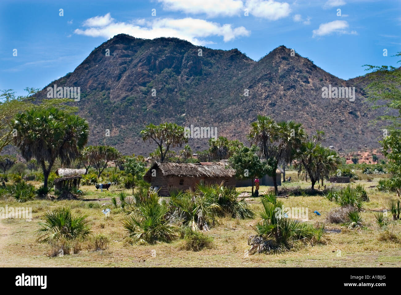 Pare Mountains, Tanzania, Africa Stock Photo - Alamy