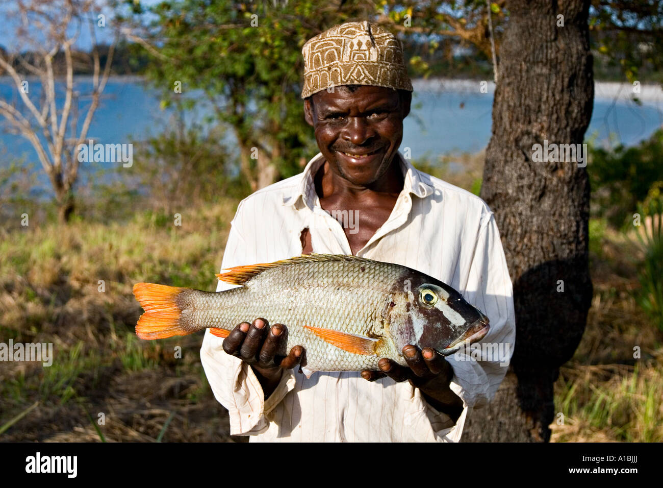 Lethrinus nebulosus hi-res stock photography and images - Alamy