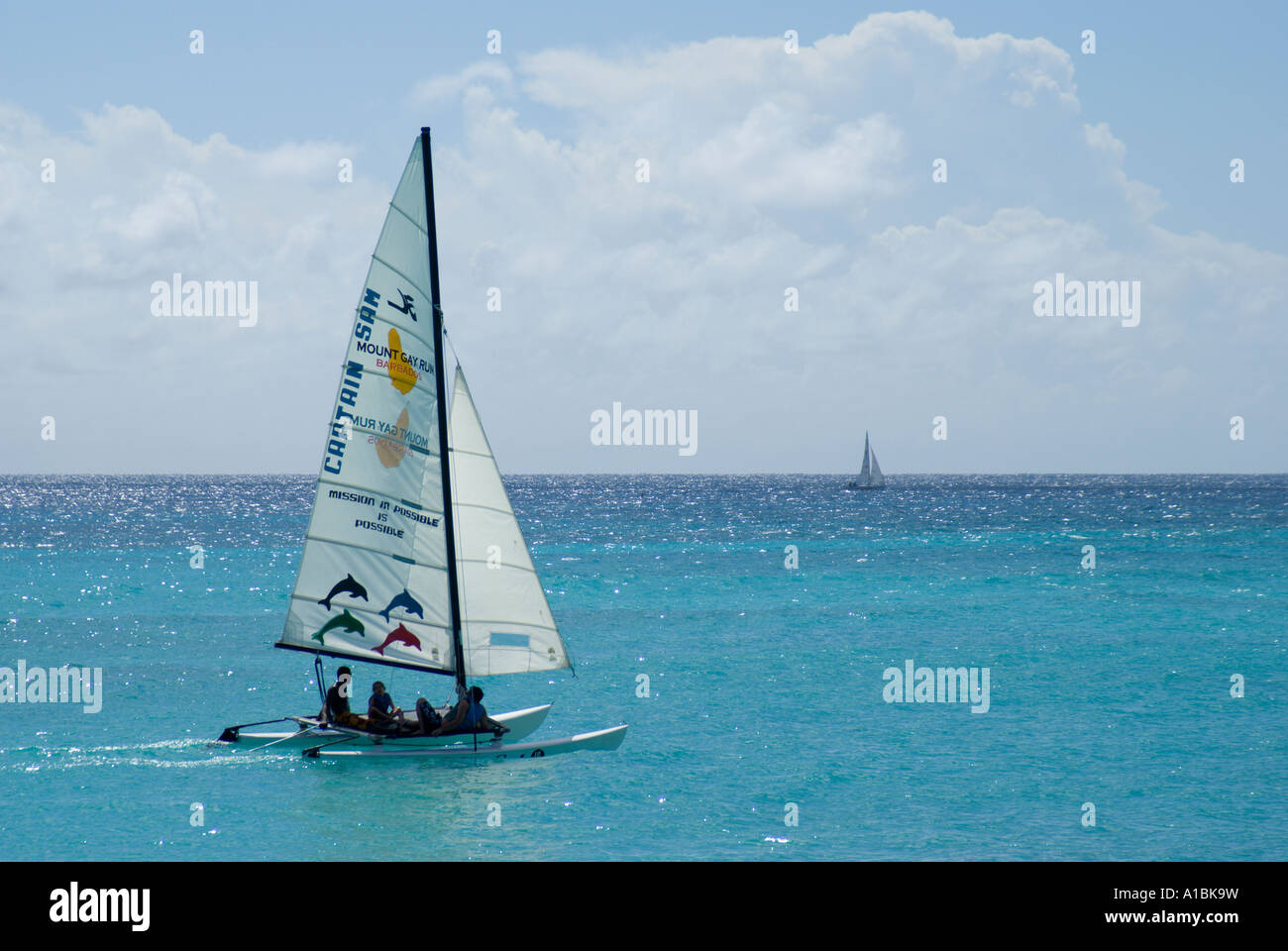 Barbados sailing a small catamaran Stock Photo - Alamy