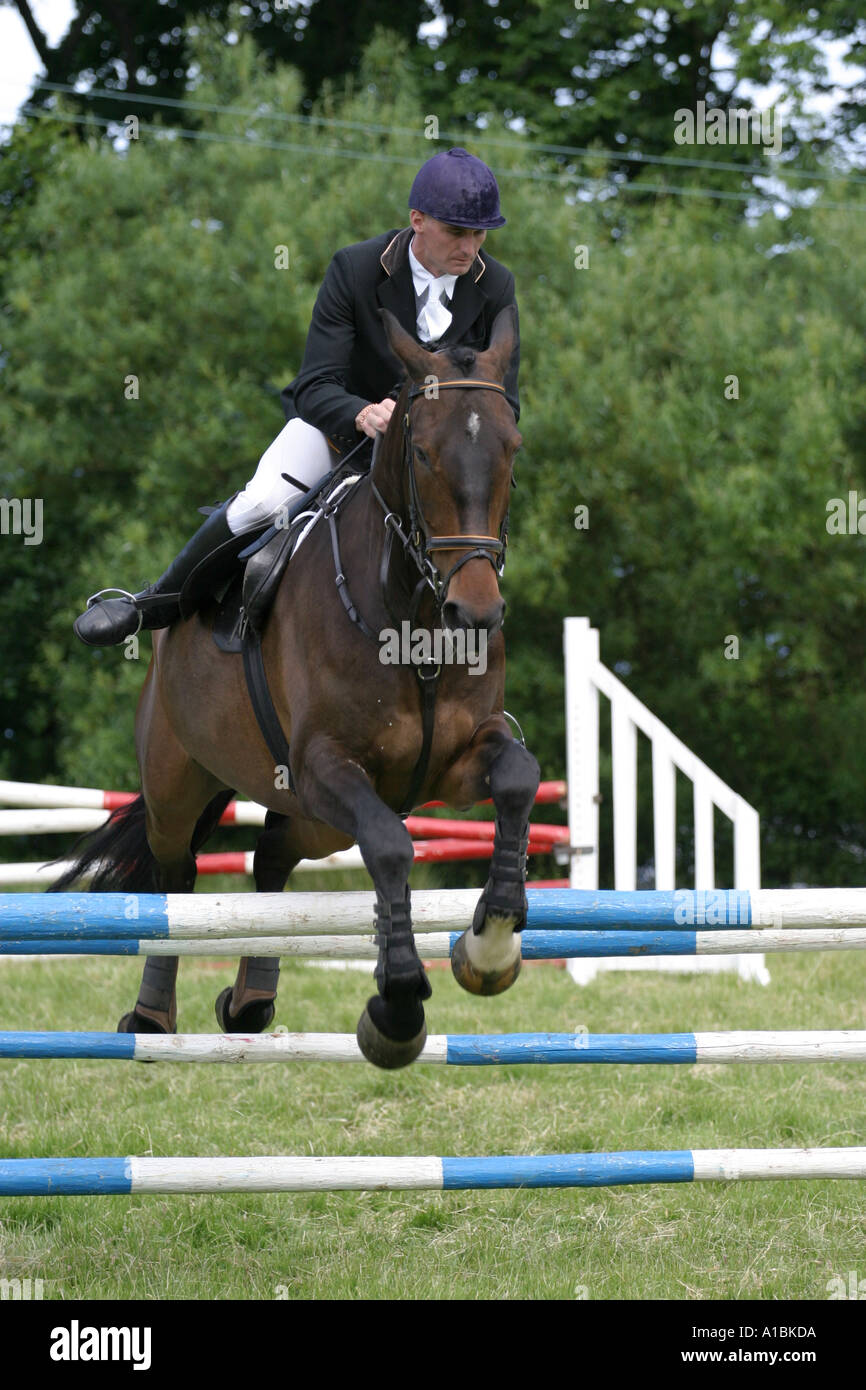 Horse jumping over fence hi-res stock photography and images - Alamy