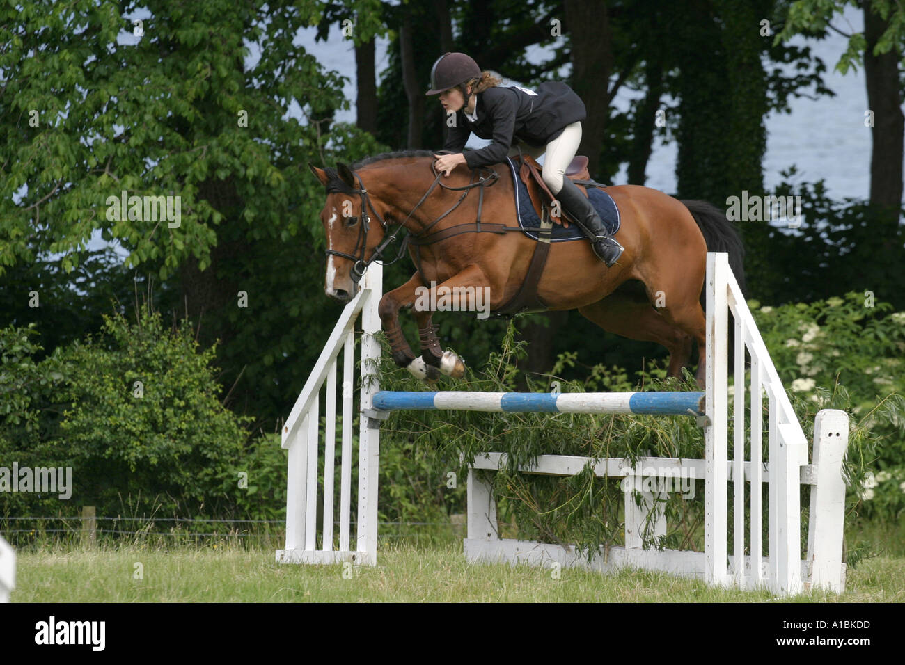 Horse jumping over fence hi-res stock photography and images - Alamy