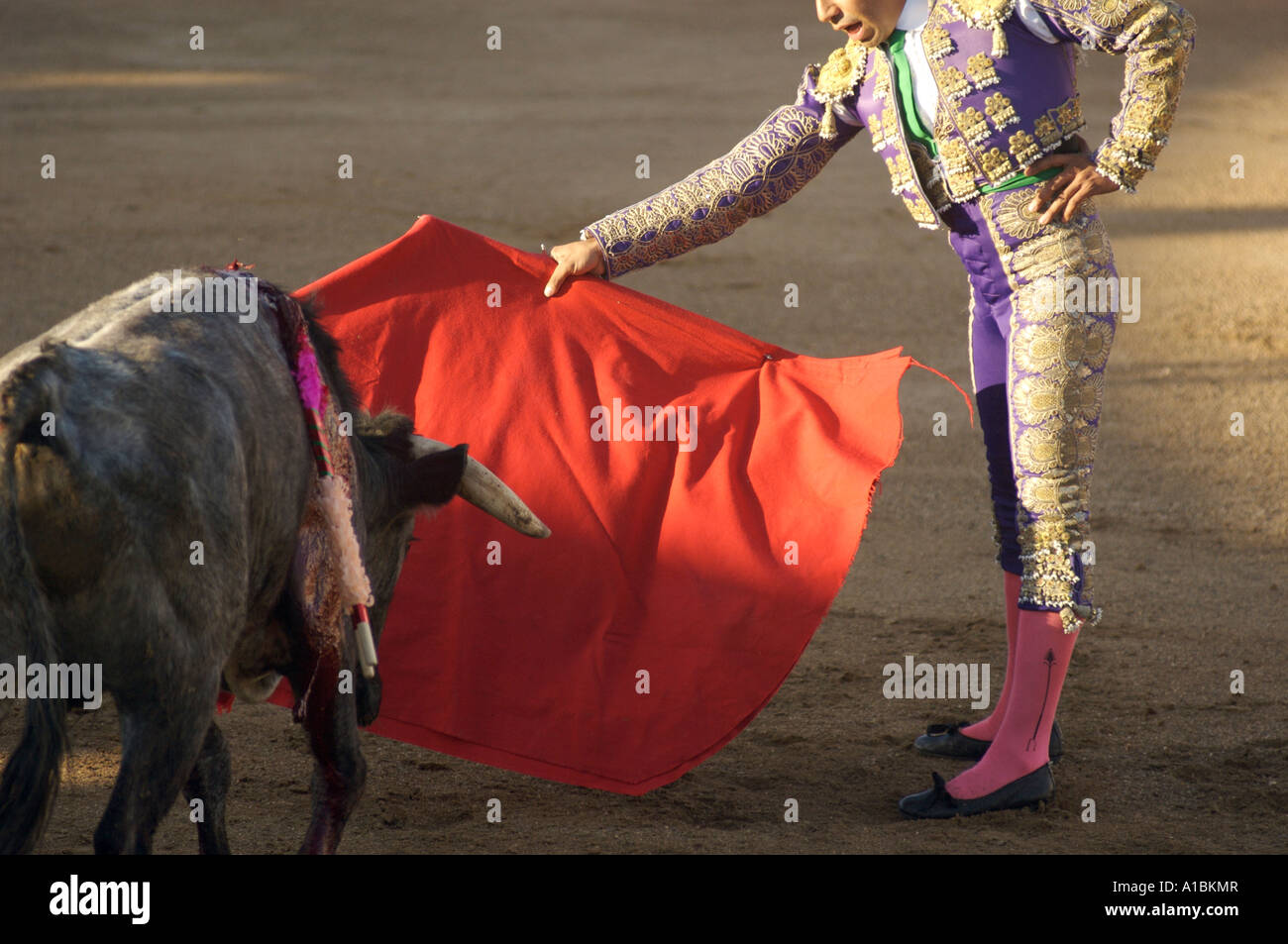 A matador performs his death defying dance at a bullfight in Puerto ...