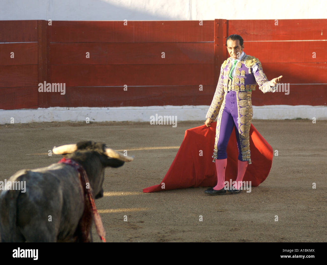 Death of a gladiator hi-res stock photography and images - Alamy