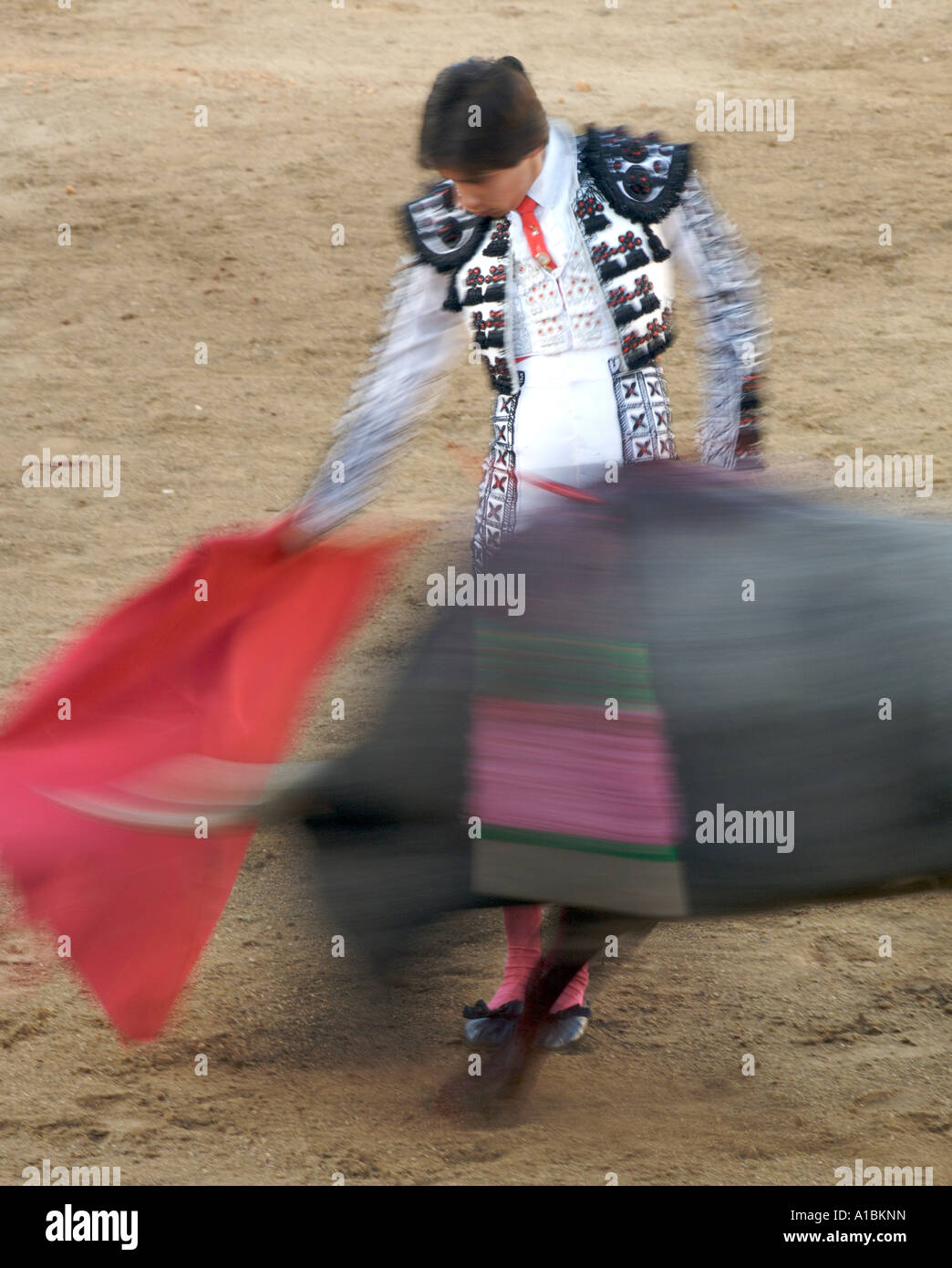 A matador performs his death defying dance at a bullfight in Puerto ...