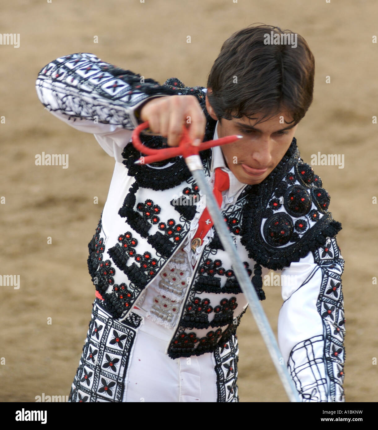 A matador performs his death defying dance at a bullfight in Puerto ...