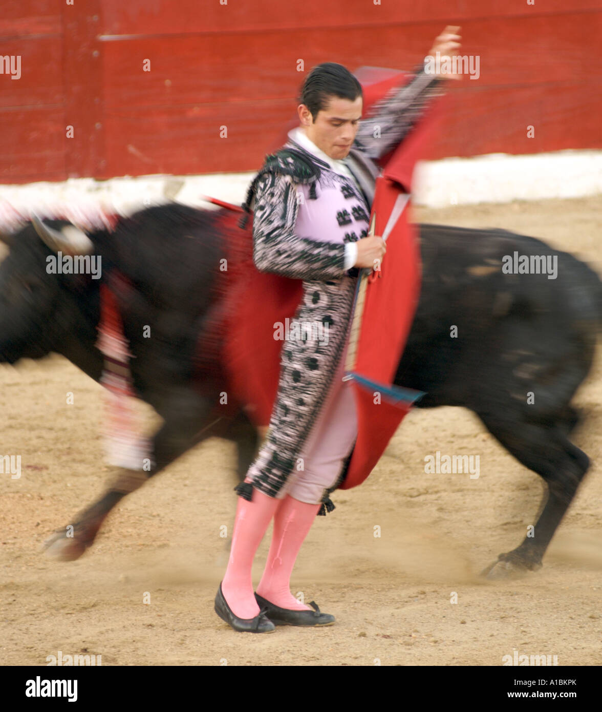 A matador performs his death defying dance at a bullfight in Puerto ...