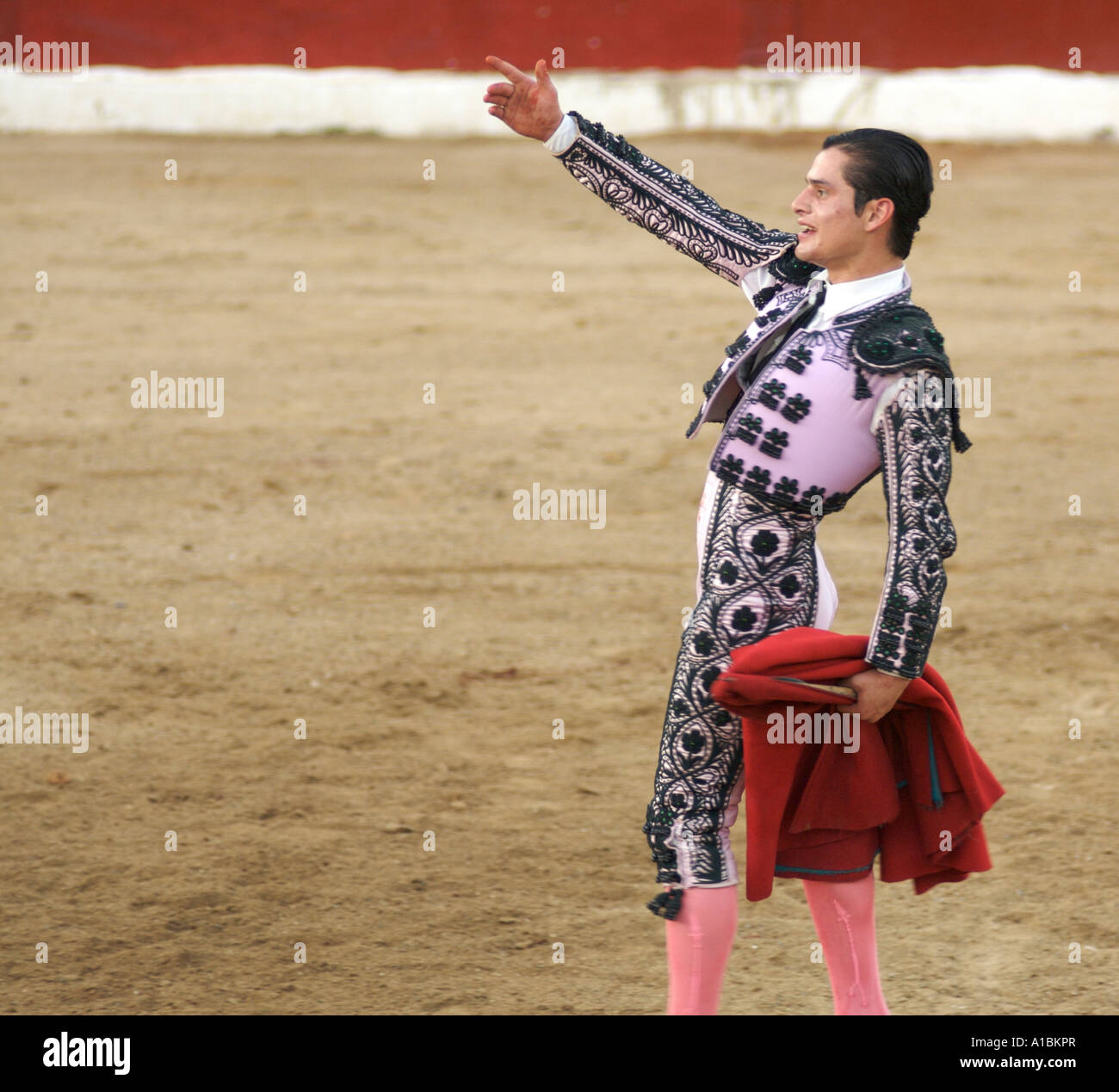A matador performs his death defying dance at a bullfight in Puerto ...