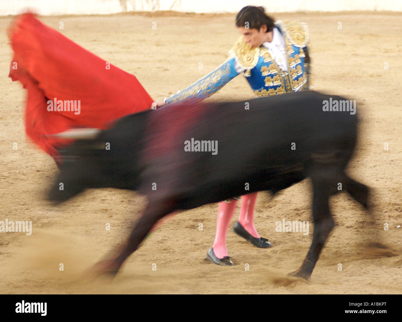 A matador performs his death defying dance at a bullfight in Puerto ...